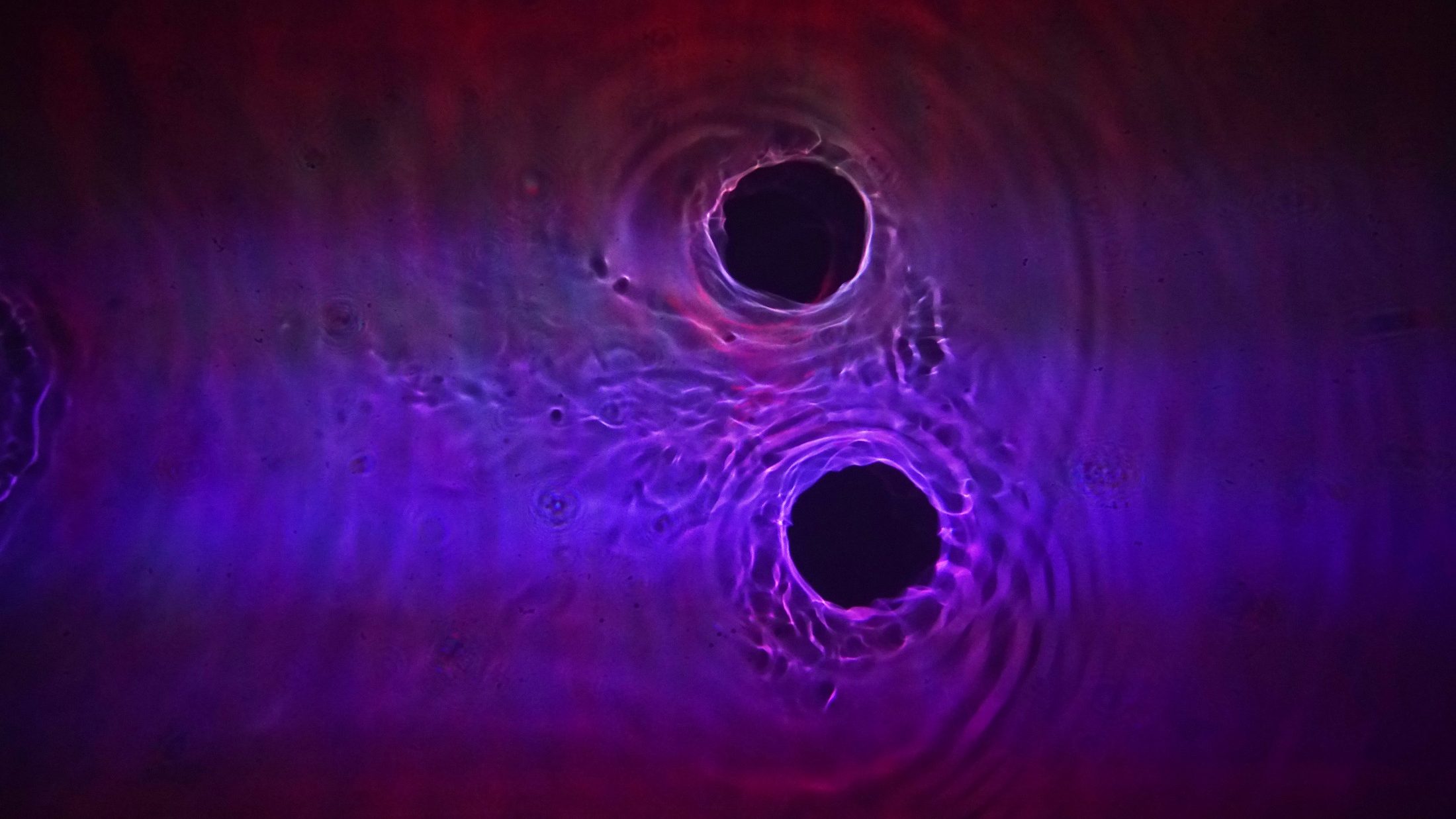 ER=EPR - VU ART SCIENCE gallery