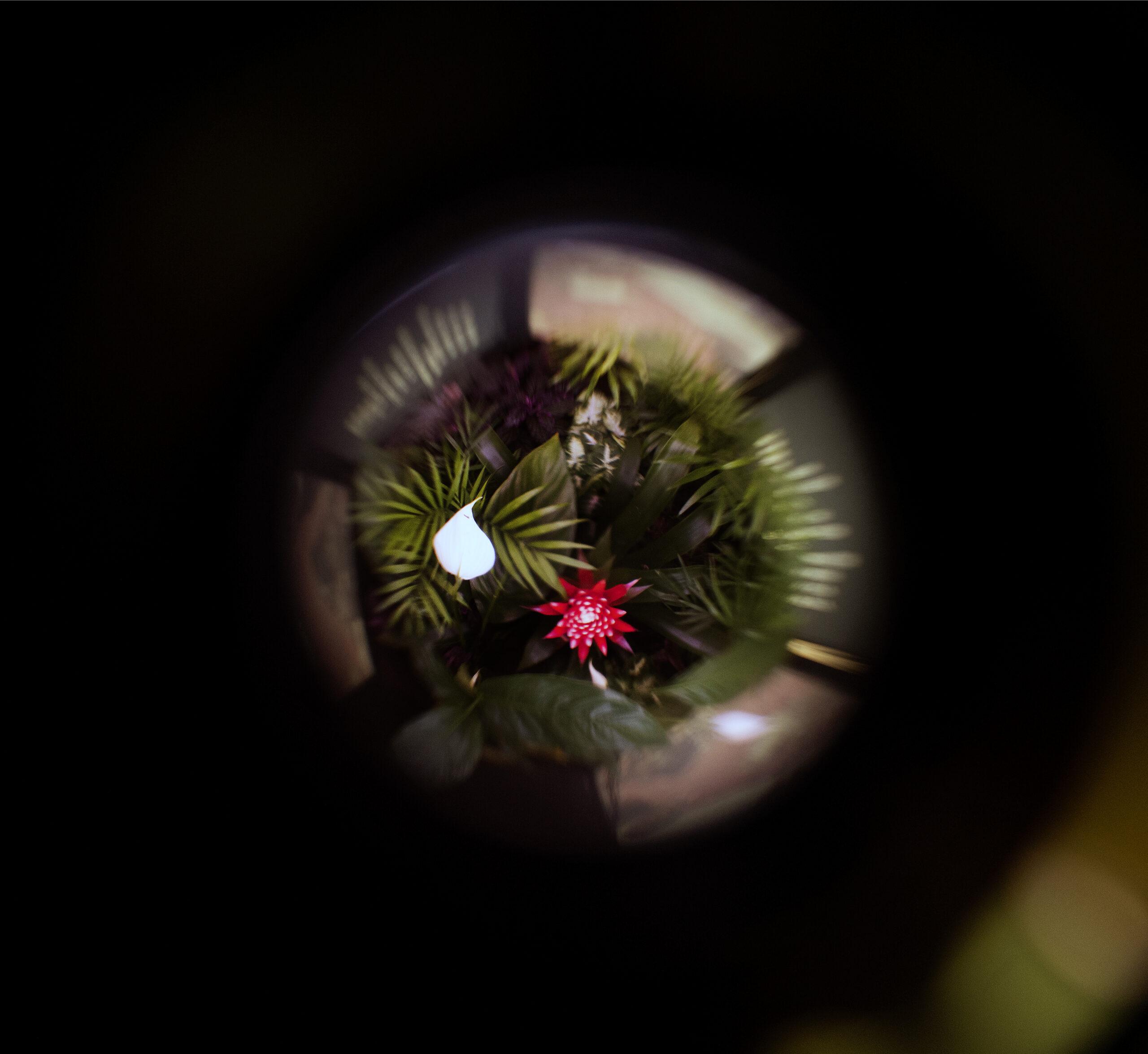 240228 Oscar Santillán, Pepijn Brandon and Lisa Ausic - VU ART SCIENCE ...