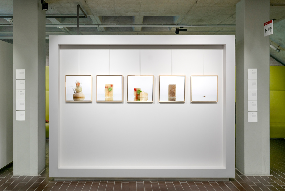 Jana Romanova - VU ART SCIENCE gallery